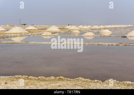 Heaps of salt on Sambhar Salt Lake. Rajasthan. India Stock Photo - Alamy