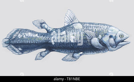 Extinct fish, drawing Stock Photo: 86109321 - Alamy