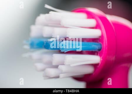 Macro photo of multicolor toothbrush Stock Photo - Alamy