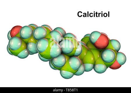 Calcitriol, molecular model Stock Photo - Alamy