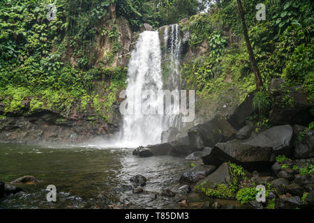 Wasserfall Chutes du Carbet im Nationalpark Guadeloupe, Basse-Terre ...