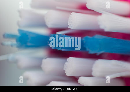 Macro photo of multicolor toothbrush Stock Photo - Alamy