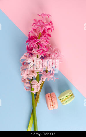 Two pink macaroons on blue wooden table Stock Photo - Alamy