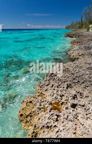 Cuba, Zapata Peninsula, Bay of Pigs, Las Salinas, UNESCO Biosphere ...