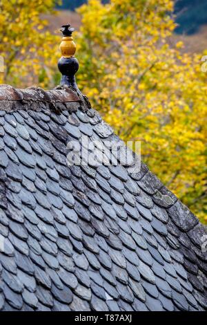 Traditional slate roof (lauze stone) in Auvergne, France Stock Photo ...