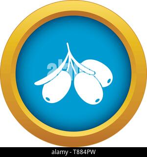 Hippophae plant vector icon on white background Stock Vector Image ...