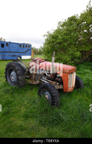 Old vintage rusty red Ferguson Tractor Stock Photo - Alamy