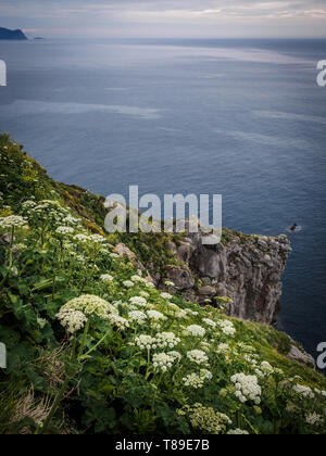 San Juan de Gaztelugatxe, Game of Thrones scenery, Basque Country ...