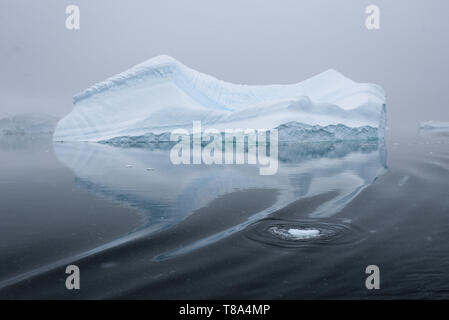 Sculptural iceberg shrouded in fog and floating in the waters of ...