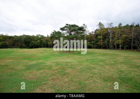 grass field in yamanashi japan Stock Photo - Alamy