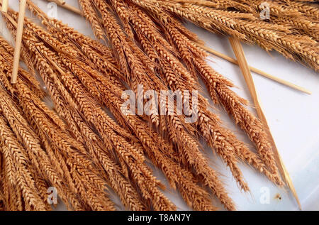 dry grass flower on wood background Stock Photo - Alamy