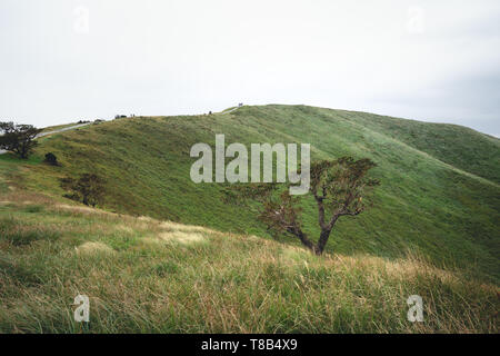 landscape on omuro mountain shizuoka japan Stock Photo - Alamy
