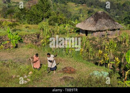 Indigenous peasant women in traditional colourful clothing hat sit sell ...