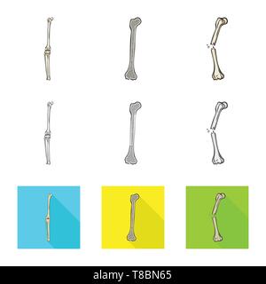 knee,femur,fracture,joint,bony,pain,meniscus,leg,bias,body,injury,foot ...