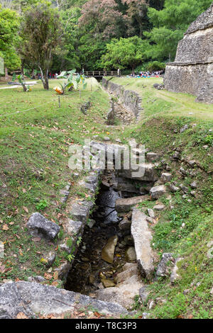 Mayan Irrigation