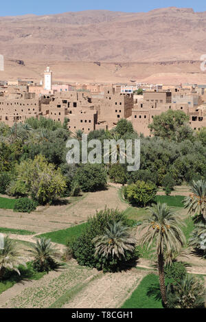 Buildings and trees of the Errachidia oasis city in Morocco Stock Photo ...
