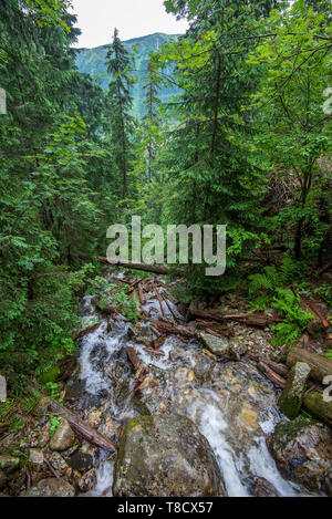 large rohache waterfall in spring. slovakia trails Stock Photo - Alamy