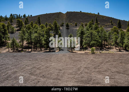 Cinder Hills, Arizona, USA Stock Photo - Alamy