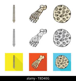foot,fiber,ankle,healthy,scientific,podiatry,muscle,forefoot,epithelium ...