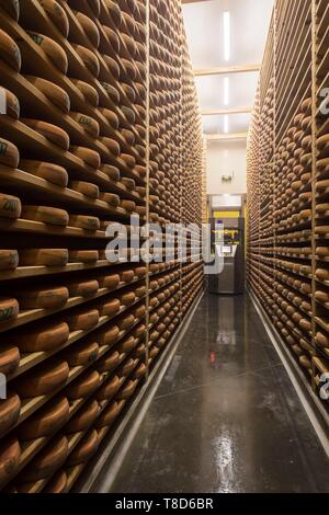 France, Jura, Poligny, the Tourmont cheese dairy, Romain Foleas ...