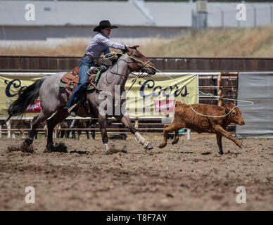 Action at the 2019 Cottonwood Rodeo in Northern California Stock Photo ...