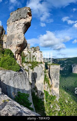 France, Lozere, Gorges de la Jonte, the Sevres vase, the famous rock ...