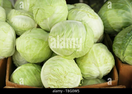 Fresh cabbage in cardboard box at market Stock Photo - Alamy