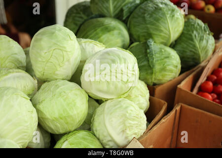 Fresh cabbage in cardboard boxes at market Stock Photo - Alamy