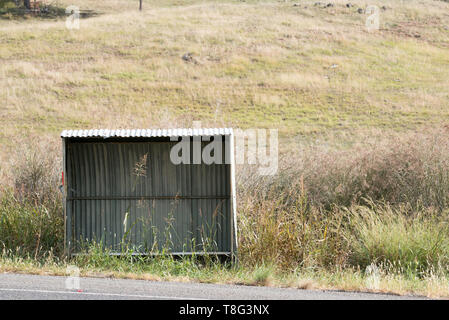 A lonely empty corrugated iron bus stop surrounded by long grass, near ...