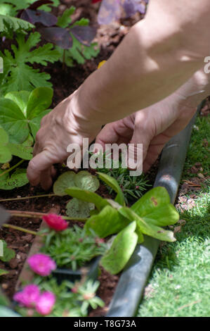 Woman hands digging ground Stock Photo - Alamy