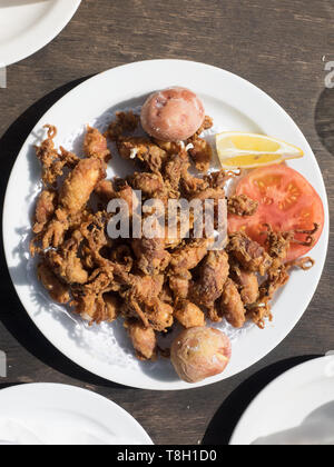 Plate of fried chopitos, small fried calamari, typical dish of Spanish ...