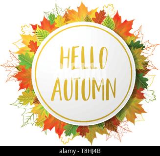Green Circle Border Frame With Autumn Leaves And Red Cherry Berry Stock ...
