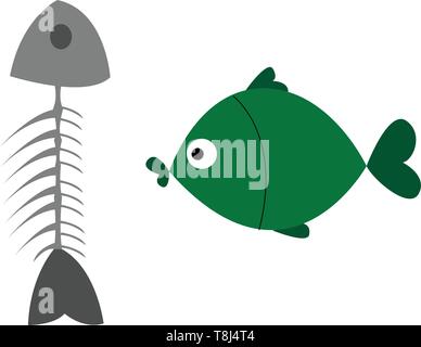 Fat fish drawing, illustration, vector on white background Stock Vector ...