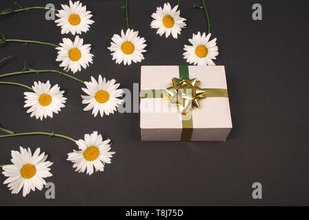 White chamomile with gift box with gold ribbon bow. Gift for birthday ...