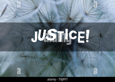 Writing note showing Claims. Business photo showcasing state or assert ...