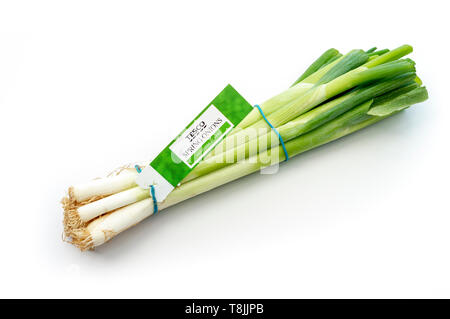 Trimmed green spring onions on handcrafted rustic brown ceramic plate ...