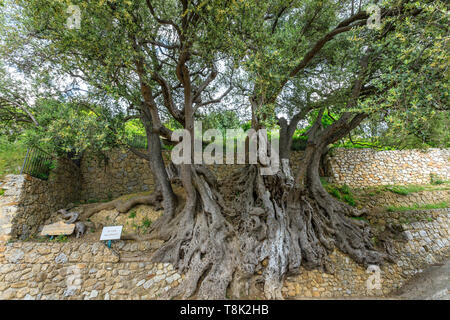 France, Alpes Maritimes, Roquebrune Cap Martin, Cap Martin ...