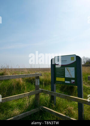 Saltfleetby-Theddlethorpe National Nature Reserve in Lincolnshire ...
