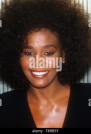 Whitney Houston 1992 Photo By John Barrett/PHOTOlink.net Stock Photo - Alamy