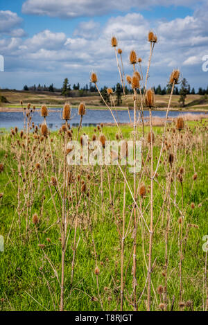 Farm Pond At Fishtrap Recreation Area Stock Photo - Alamy
