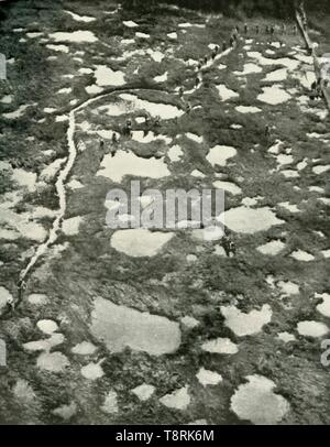 Shell Holes in World War I. This abomination of desolation makes one ...