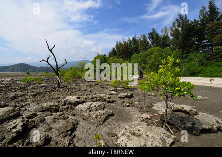 View on the Saddle peak and Kalipur Beach of the Andaman and Nicobar ...