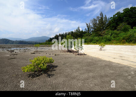 India, View on the Saddle peak and Kalipur Beach of the Andaman and ...