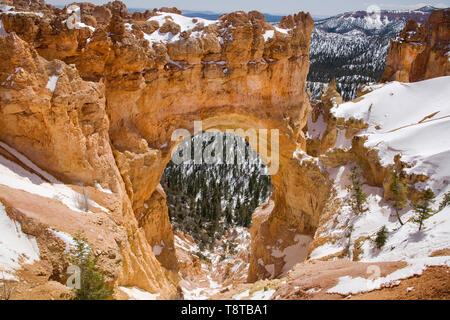 Hike in winter Bryce Stock Photo - Alamy