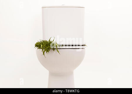 Marijuana plant in the toilet. Quit smoking marijuana concept. Weed ...