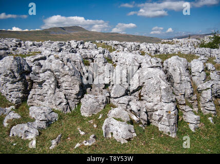 Clints and grykes in limestone pavement above Malham Cove, Malham ...