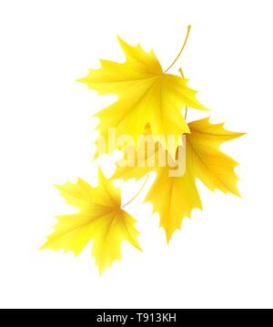 Autumn background with leaves eps10 Stock Vector Image & Art - Alamy