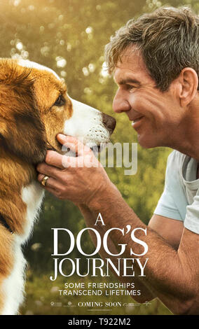 A DOG'S JOURNEY, from left: Bailey (voice: Josh Gad), Emma Volk, Marg ...