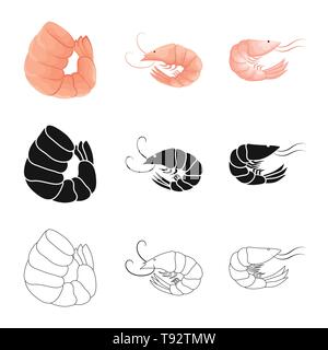 prawn,raw,creature,cooked,fresh,boiled,luxury,underwater,restaurant ...