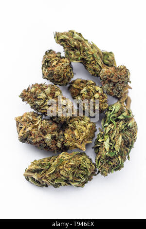 Detail of legal marijuana flowers photographed on paper background ...